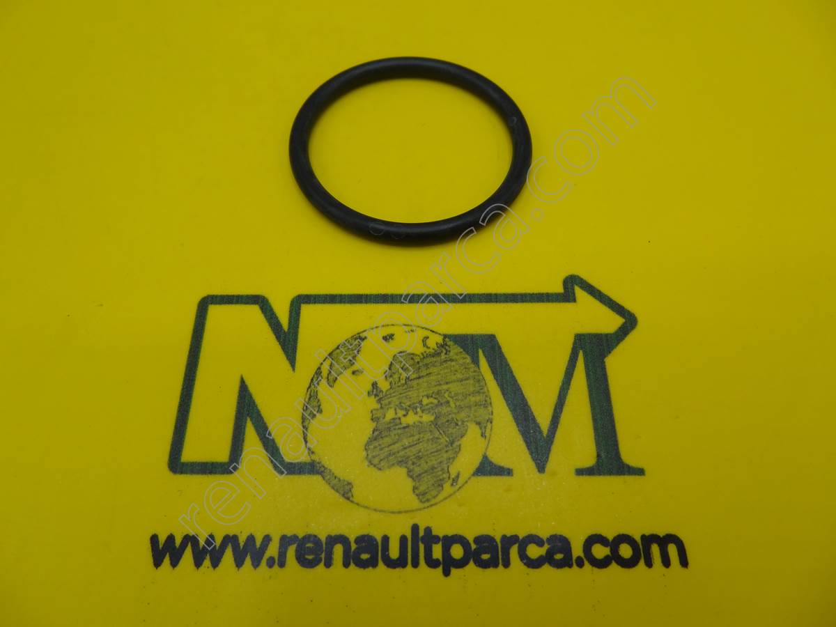 Su pompası » Motor Üst Grubu | Renault Yedek Parça » NOM OTO